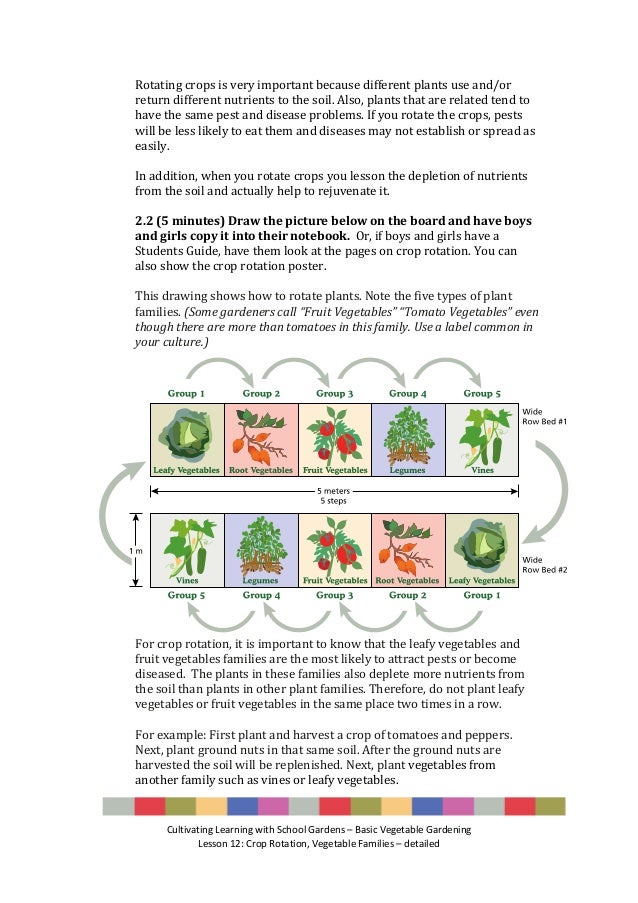 Vegetable Families For Crop Rotation