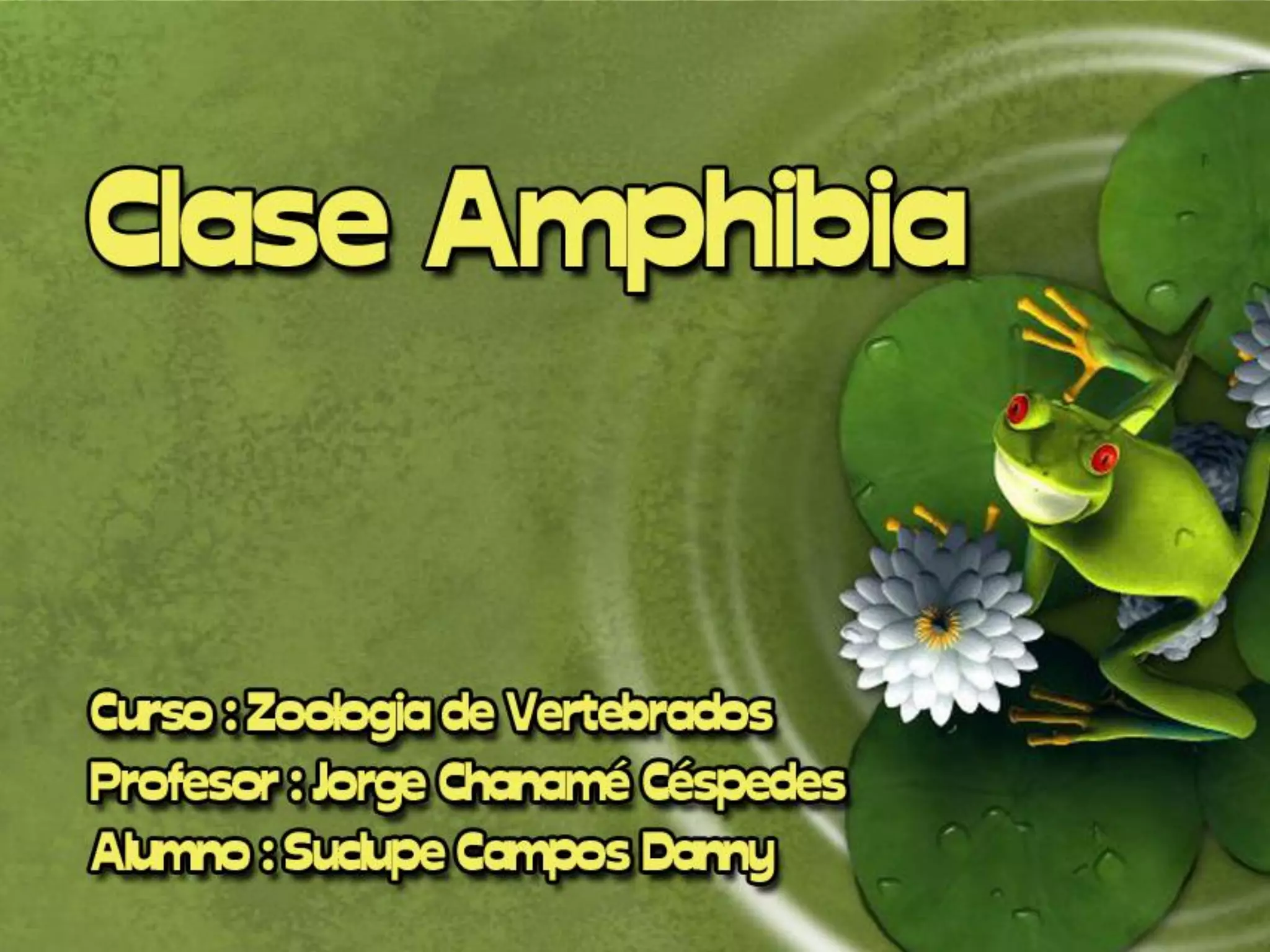 Clase amphibia | PDF