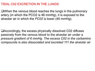 C02 transport (carriage)_by_the_blood | PPT