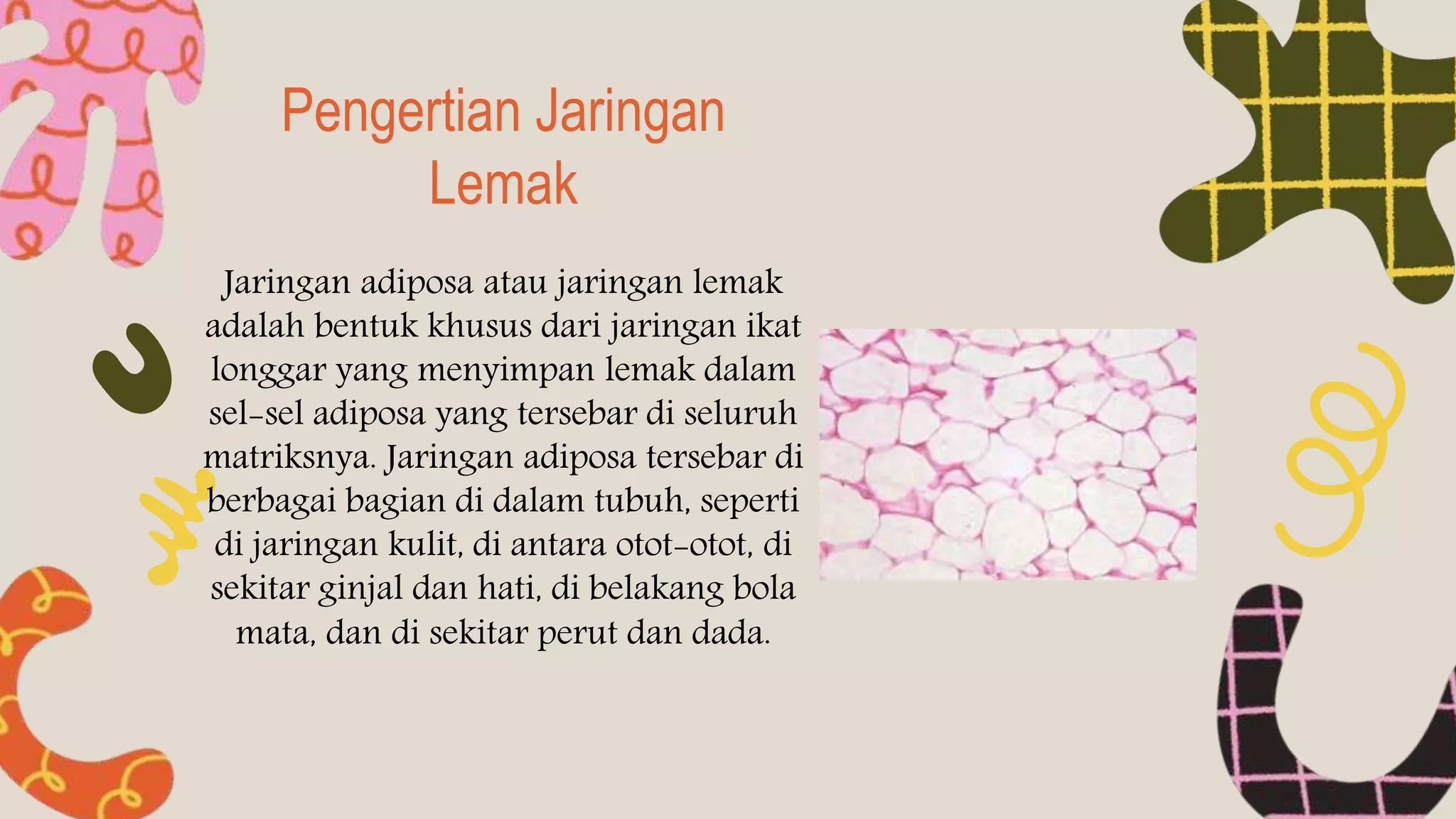 PPT_JARINGAN_LEMAK_KEL_5.pptx