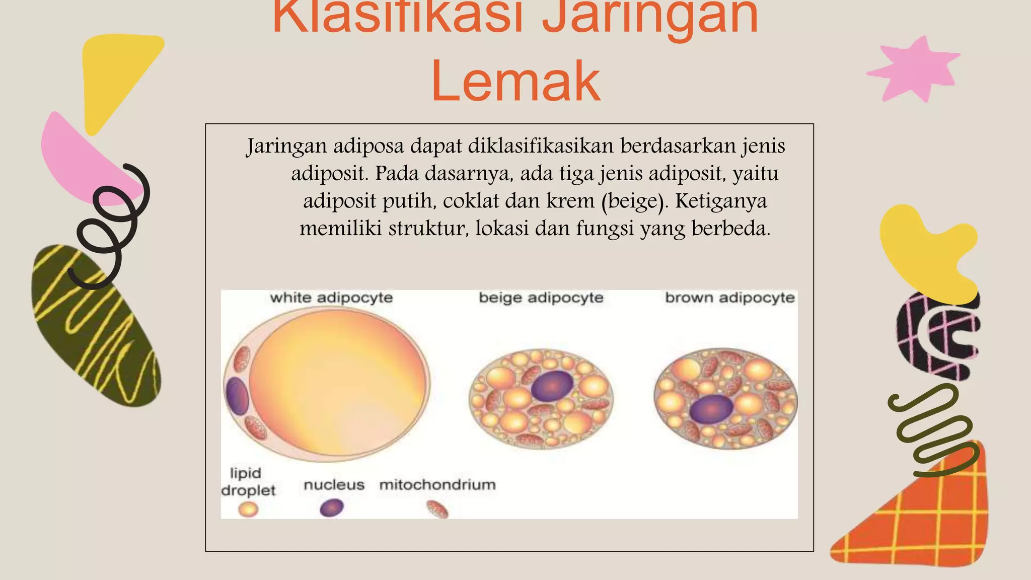 PPT_JARINGAN_LEMAK_KEL_5.pptx