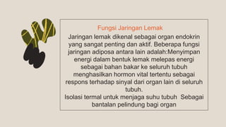PPT_JARINGAN_LEMAK_KEL_5.pptx