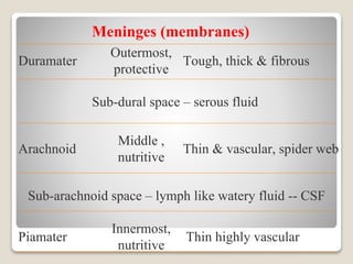 Chap_9_Control__Coordination.pptx