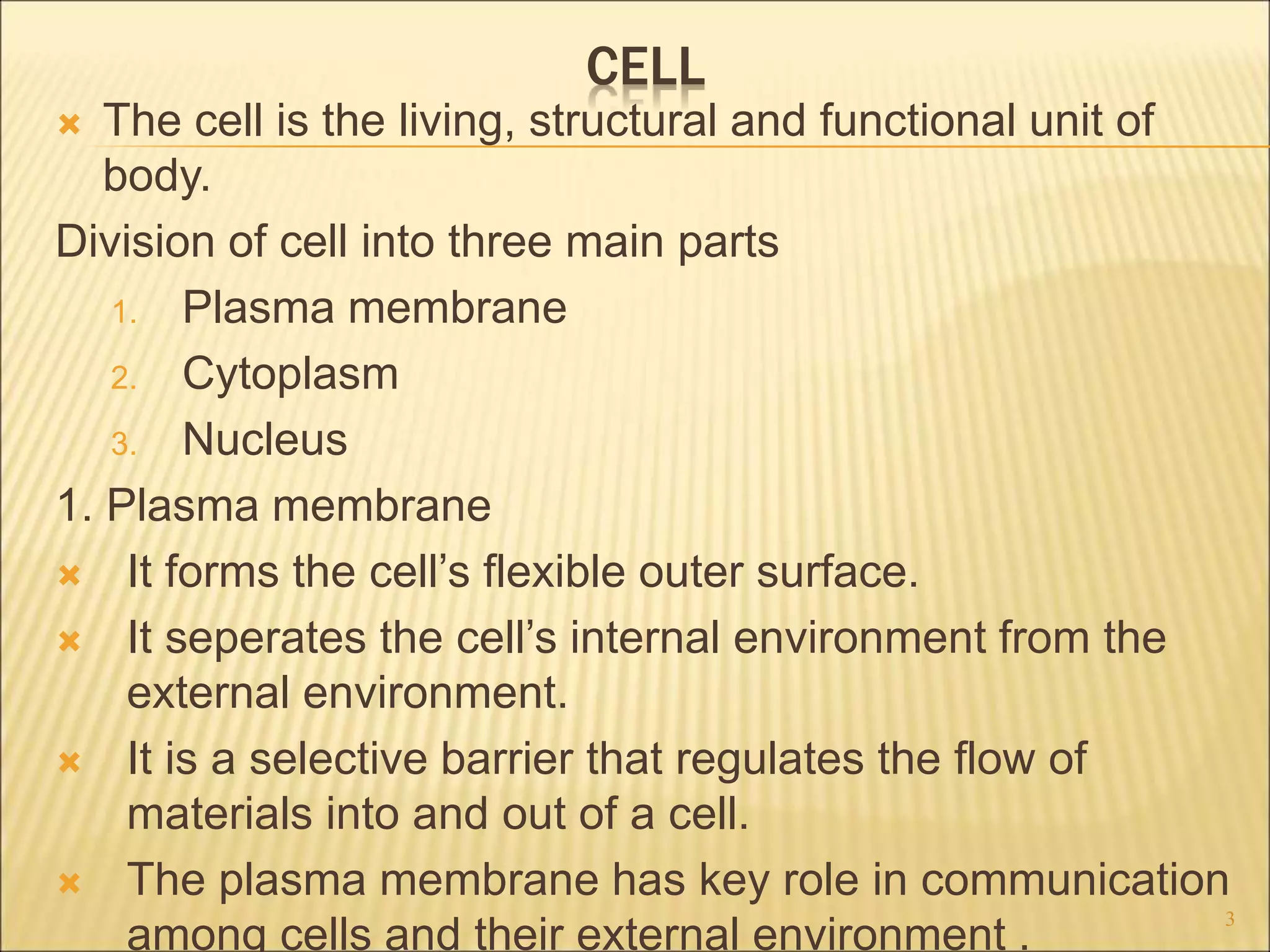 Cell and organelles | PPT