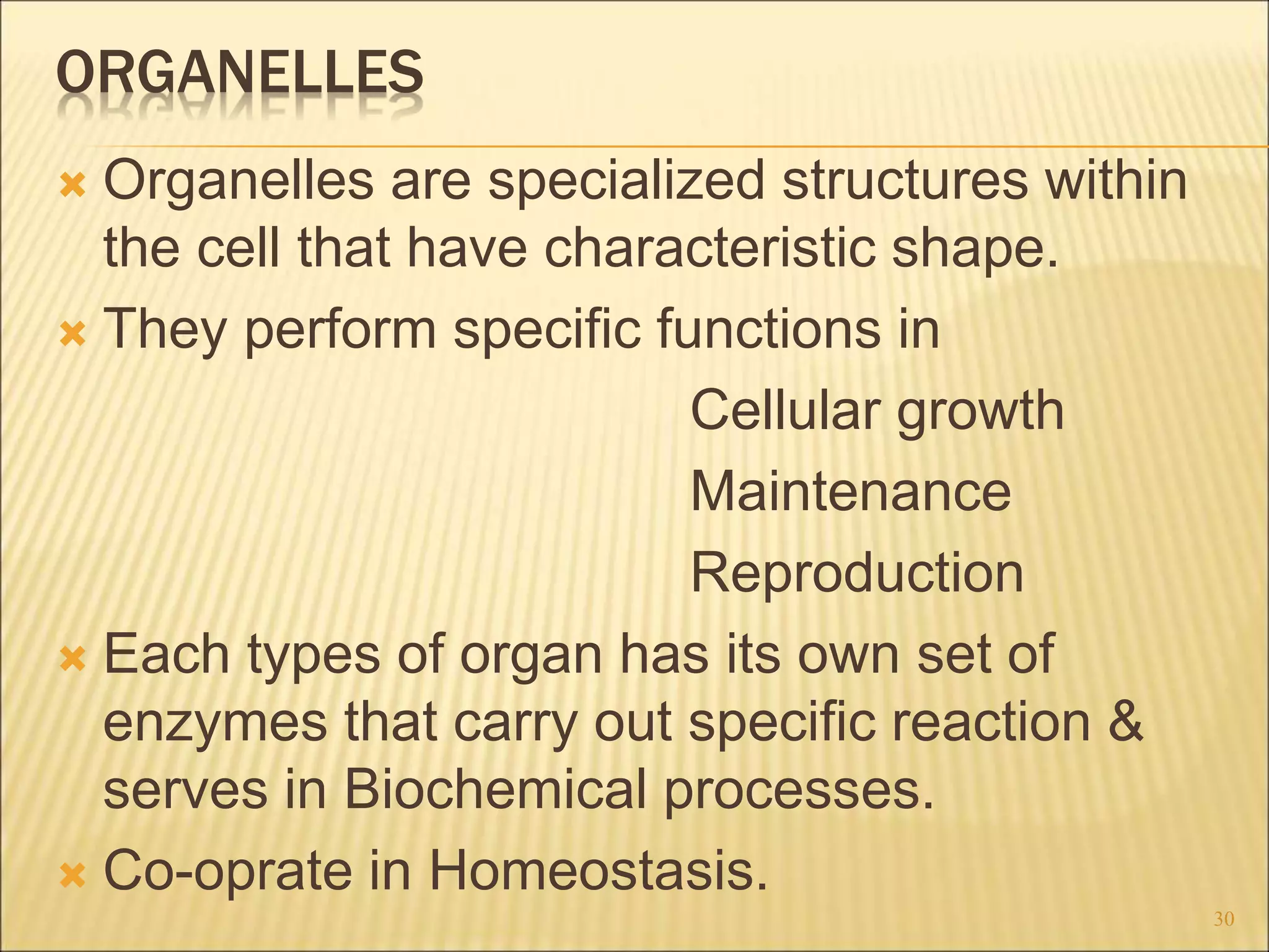 Cell and organelles | PPT