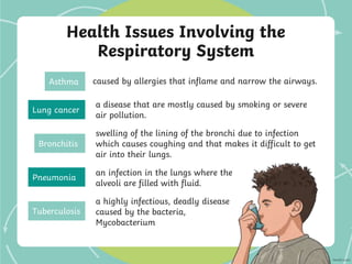 za-nst-1642787358-systems-in-the-human-body-respiratory-system ...