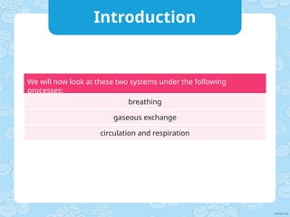 za-nst-1644992054-circulatory-respiratory-systems-powerpoint_ver_2.pptx