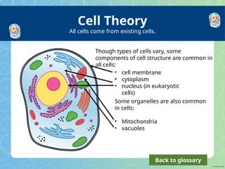za-nst-1649710426-cells-as-the-basic-units-of-life_ver_1.pptx