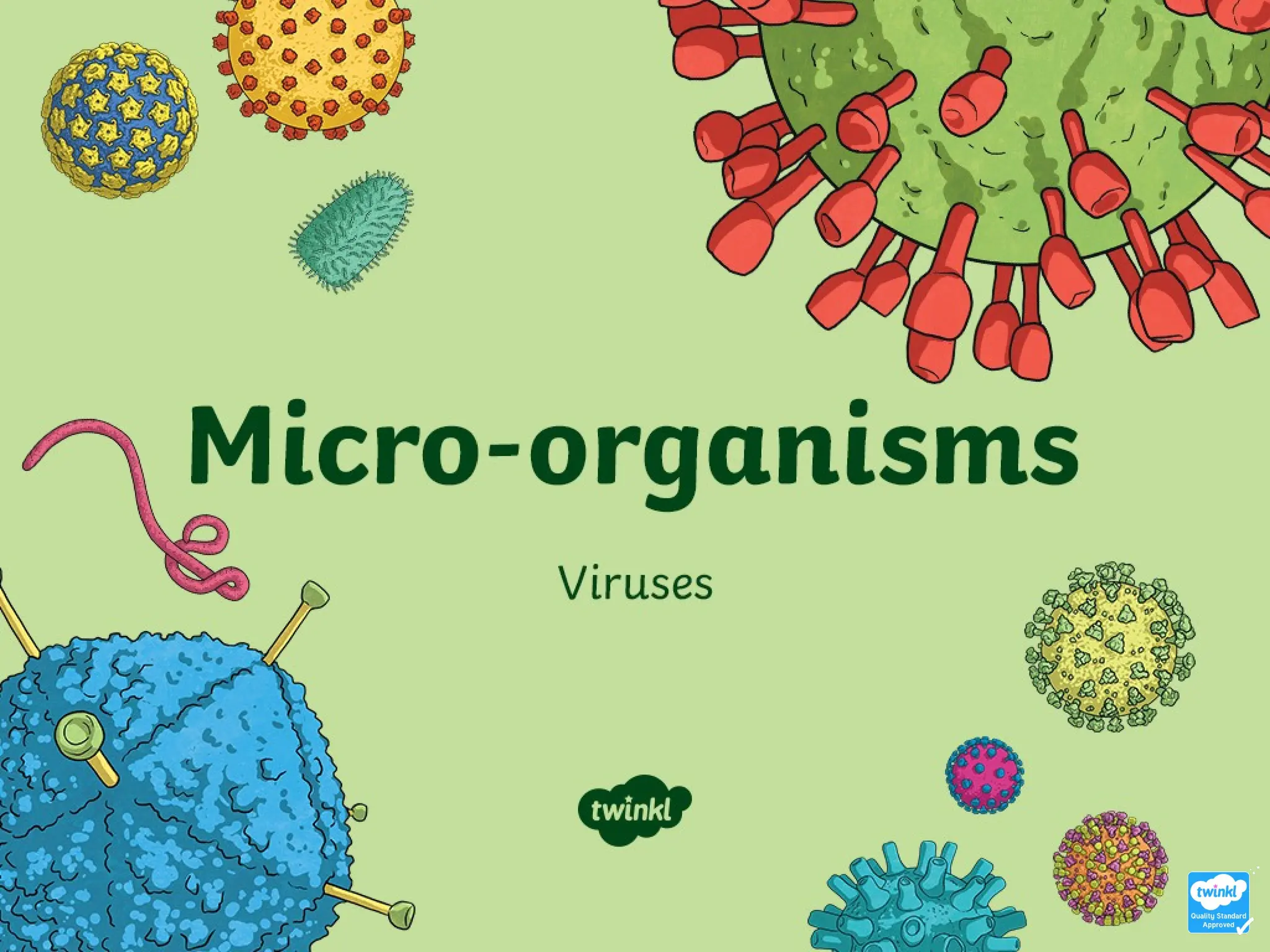 viruses grade 10th microorganisms .pptx