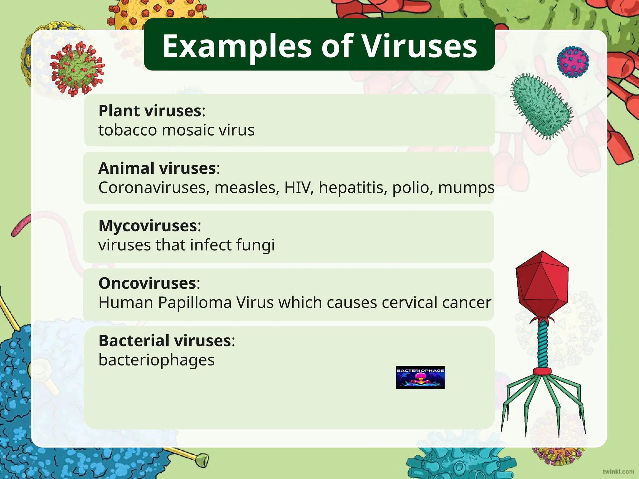viruses grade 10th microorganisms .pptx