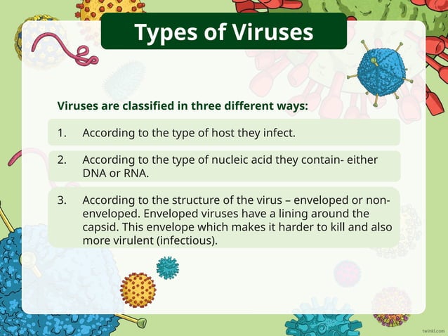 viruses grade 10th microorganisms .pptx