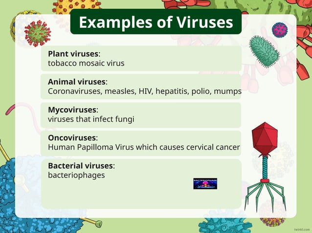 viruses grade 10th microorganisms .pptx