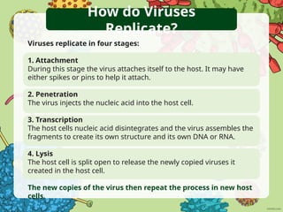 viruses grade 10th microorganisms .pptx
