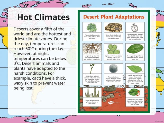 za2-g-climate-around-the-world-grade-6-geography-term-3-caps-powerpoint ...