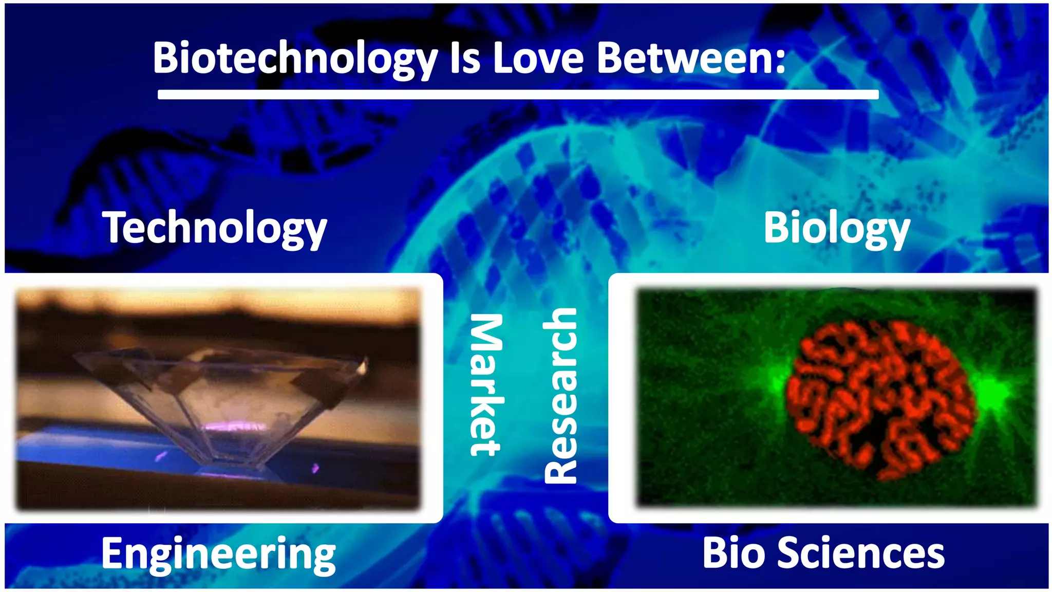 Biotechnology; The 21 Century Life's Technology | PPTX