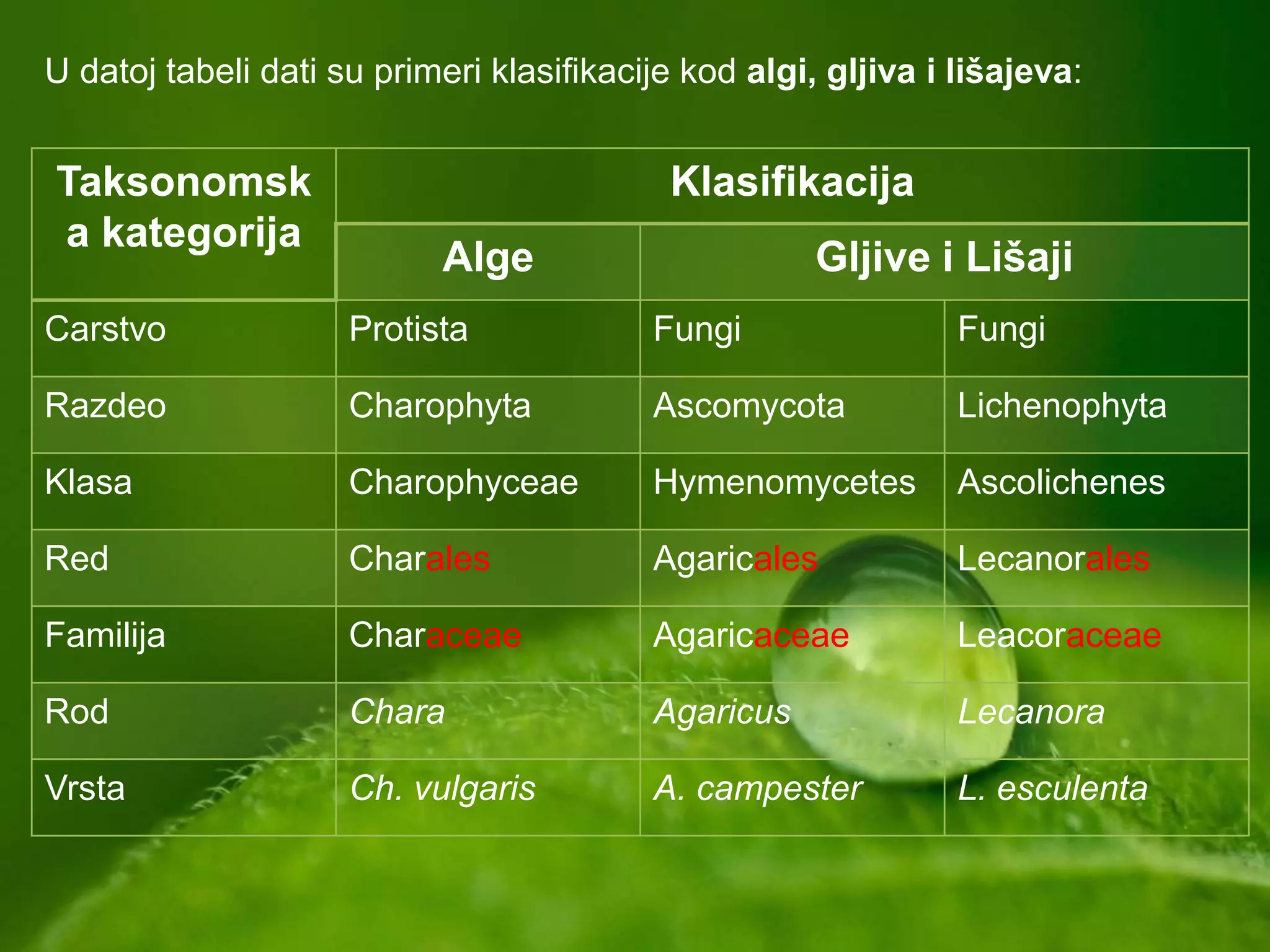 Zadaci morfologije i sistematike i njihov značaj | PPTX