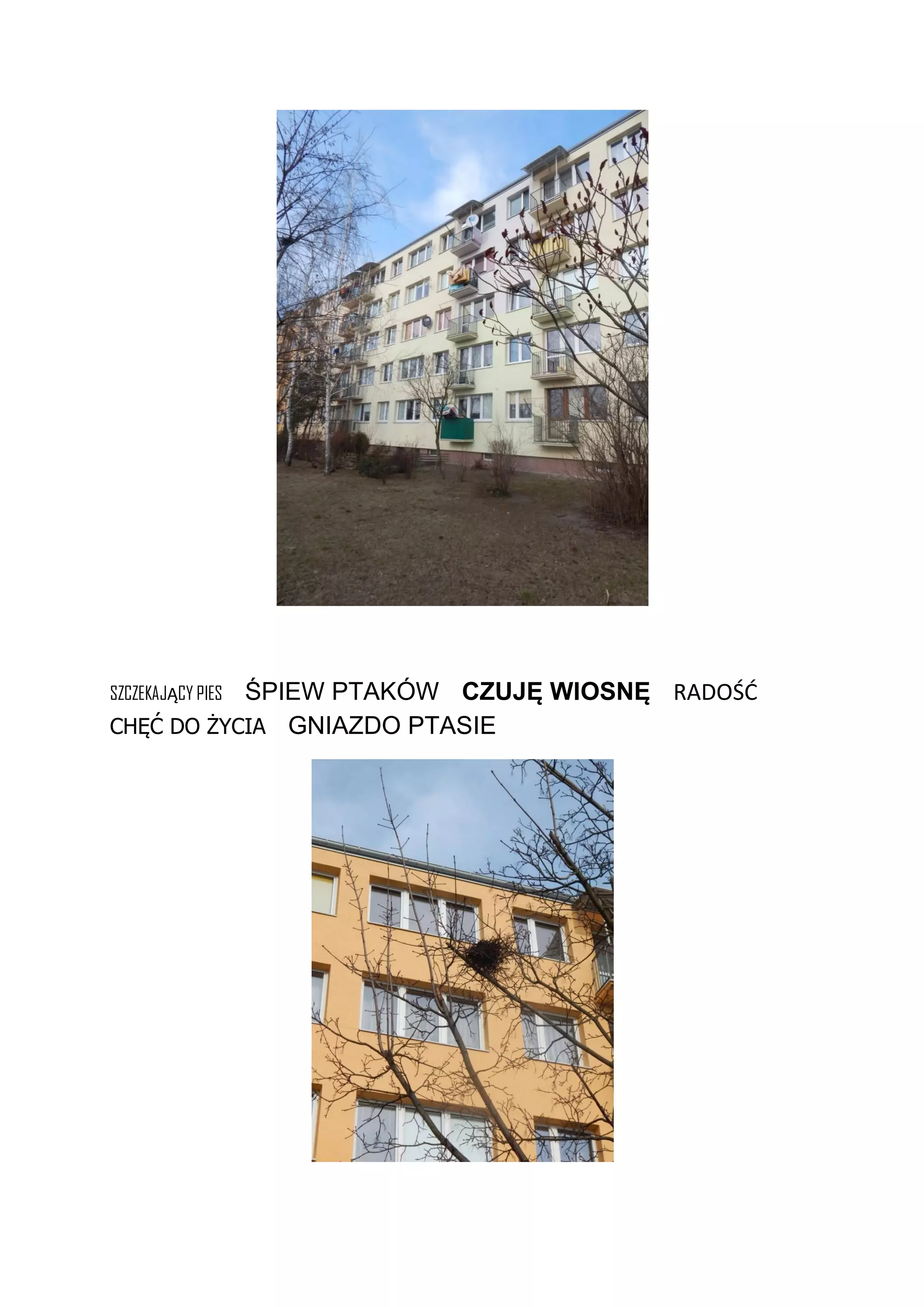 Zadanie domowe | PDF