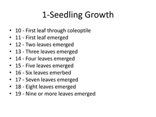 Zadoks Scale or system for plant growth | PPTX