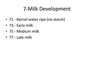 Zadoks Scale or system for plant growth | PPTX