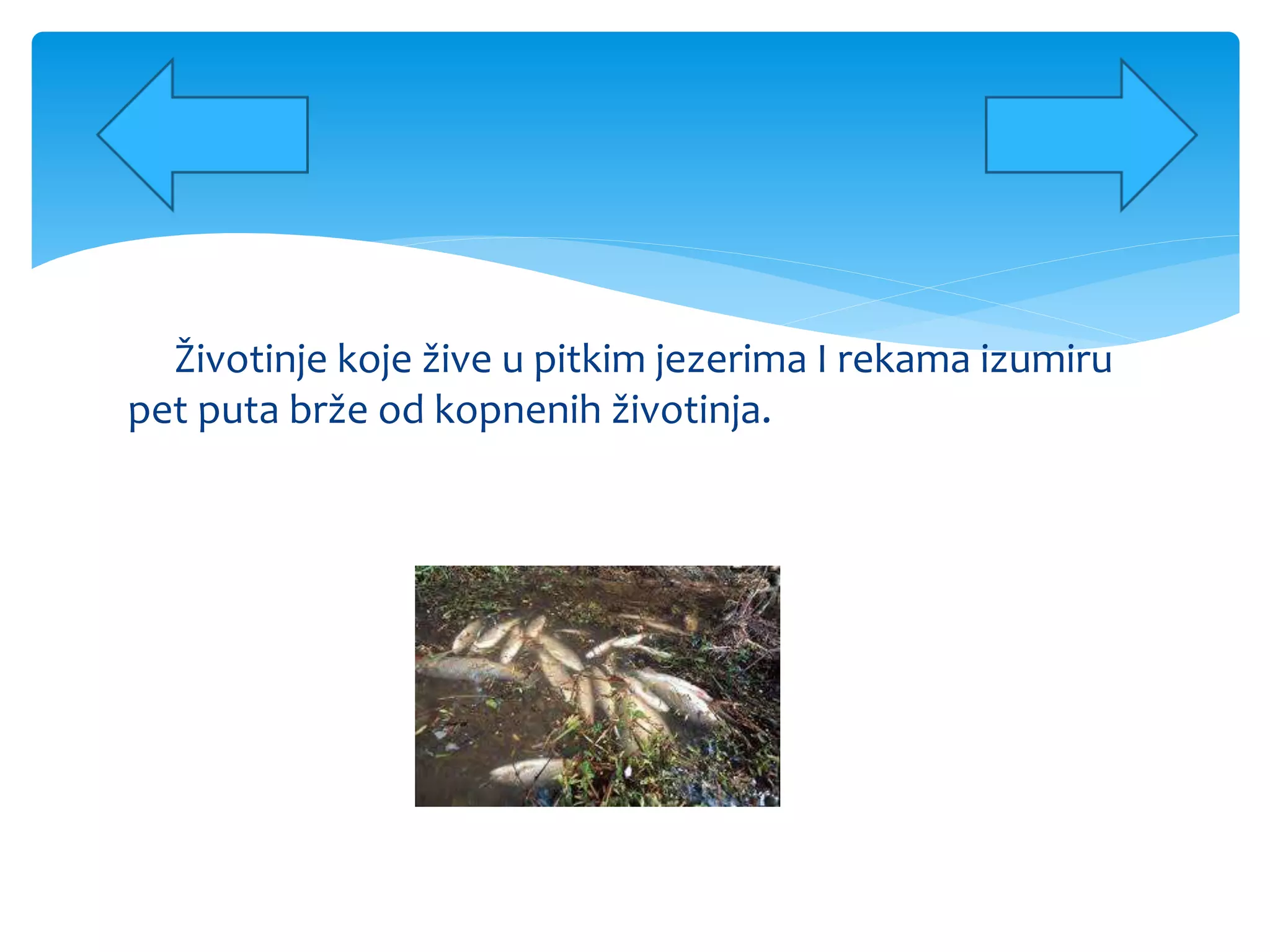 Zagadjenje reka i jezera | PPTX