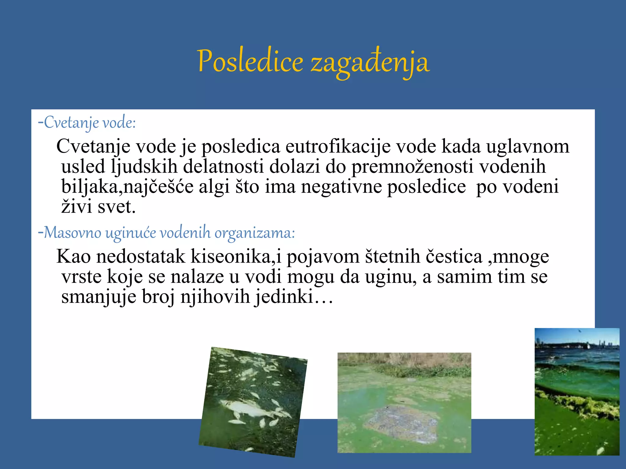 Zagadjivanje vode | PPTX