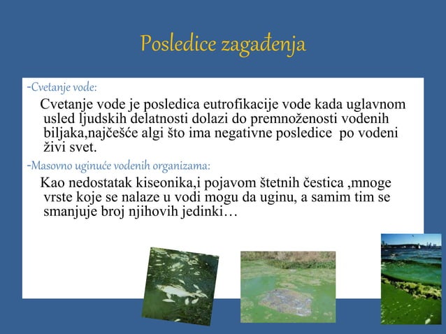 Zagadjivanje vode | PPTX