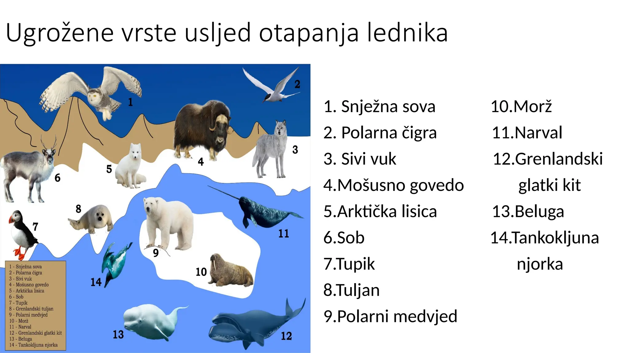 ZAGAĐIVANJE ZRAKA I MJERE ZAŠTITE (1).pptx