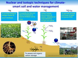 Nuclear and Isotopic Techniques for Climate-Smart Agriculture (CSA) | PPTX