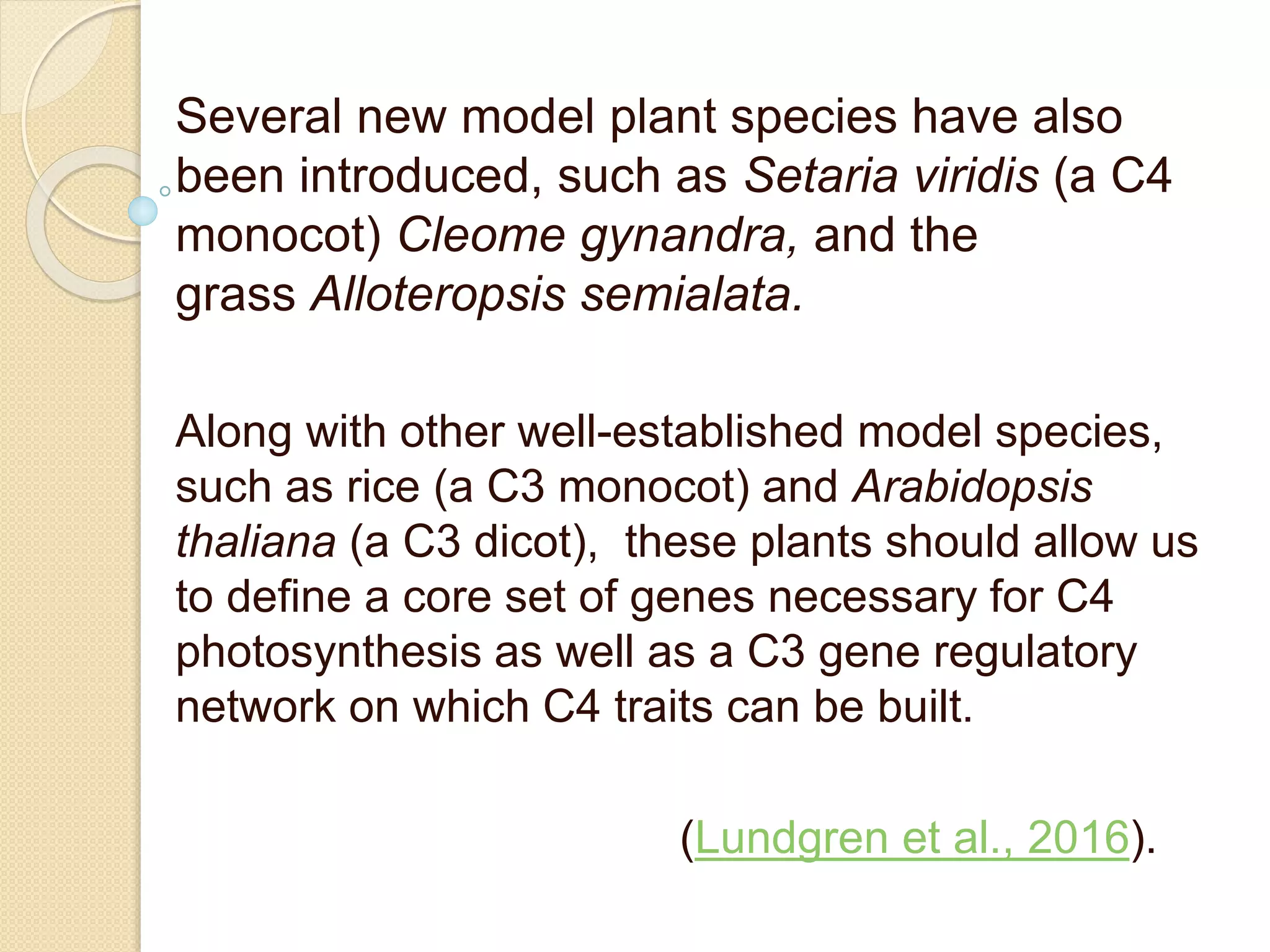 Conversion of C3 plants into C4 | PPTX
