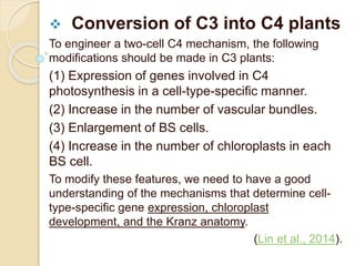 Conversion of C3 plants into C4 | PPTX
