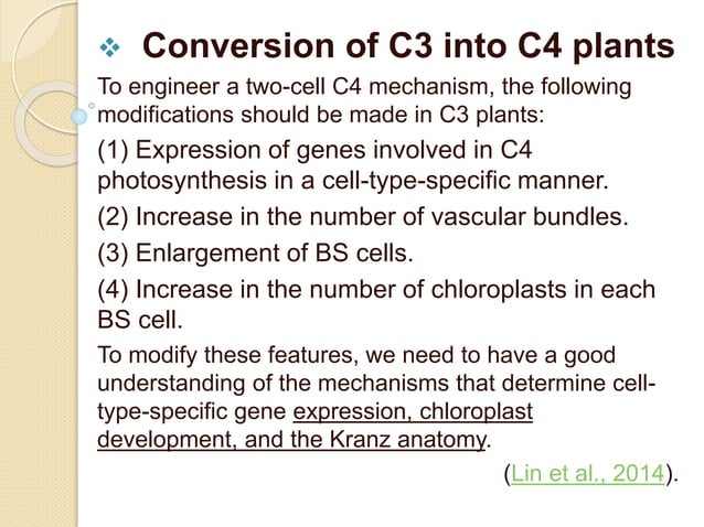 Conversion of C3 plants into C4 | PPTX | Biological Sciences | Science