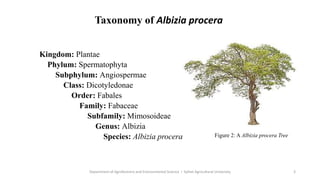 Albizia procera agroforestry and reforestation_2021 | PPTX