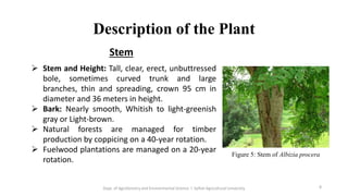 Albizia procera agroforestry and reforestation_2021 | PPTX
