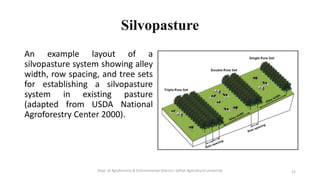 Implementation of agroforestry research | PPTX