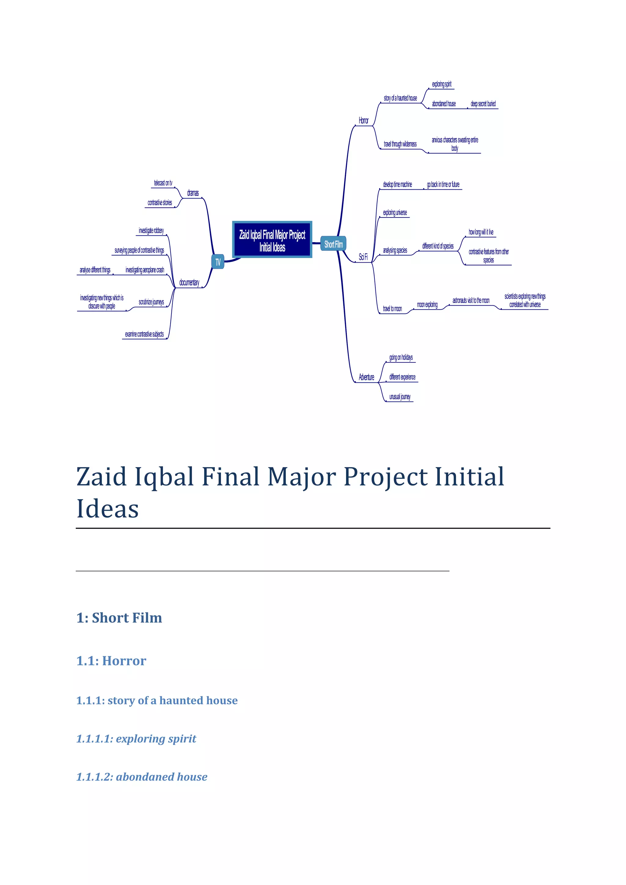 Zaid iqbal final major project initial ideas | DOC