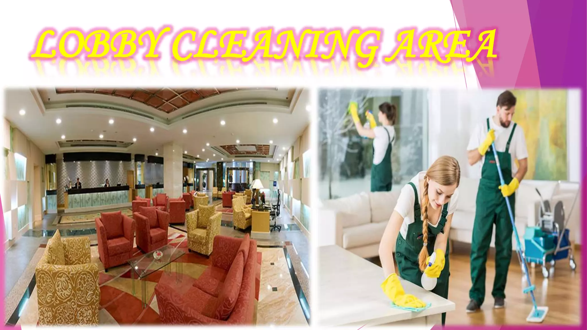PUBLIC AREA CLEANING | PPTX
