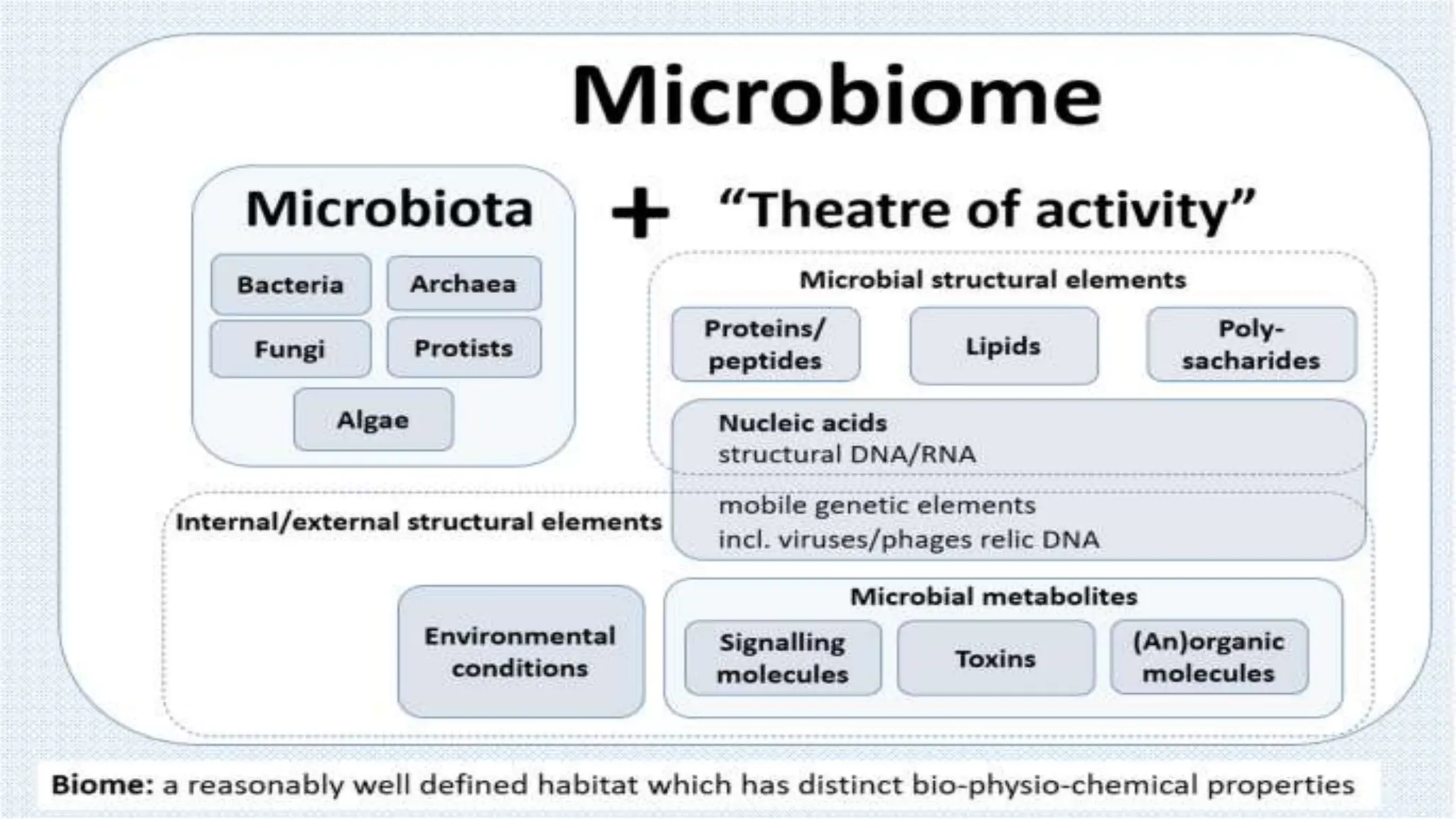 Microbiome in Food Microbiology and its explanation | PPTX