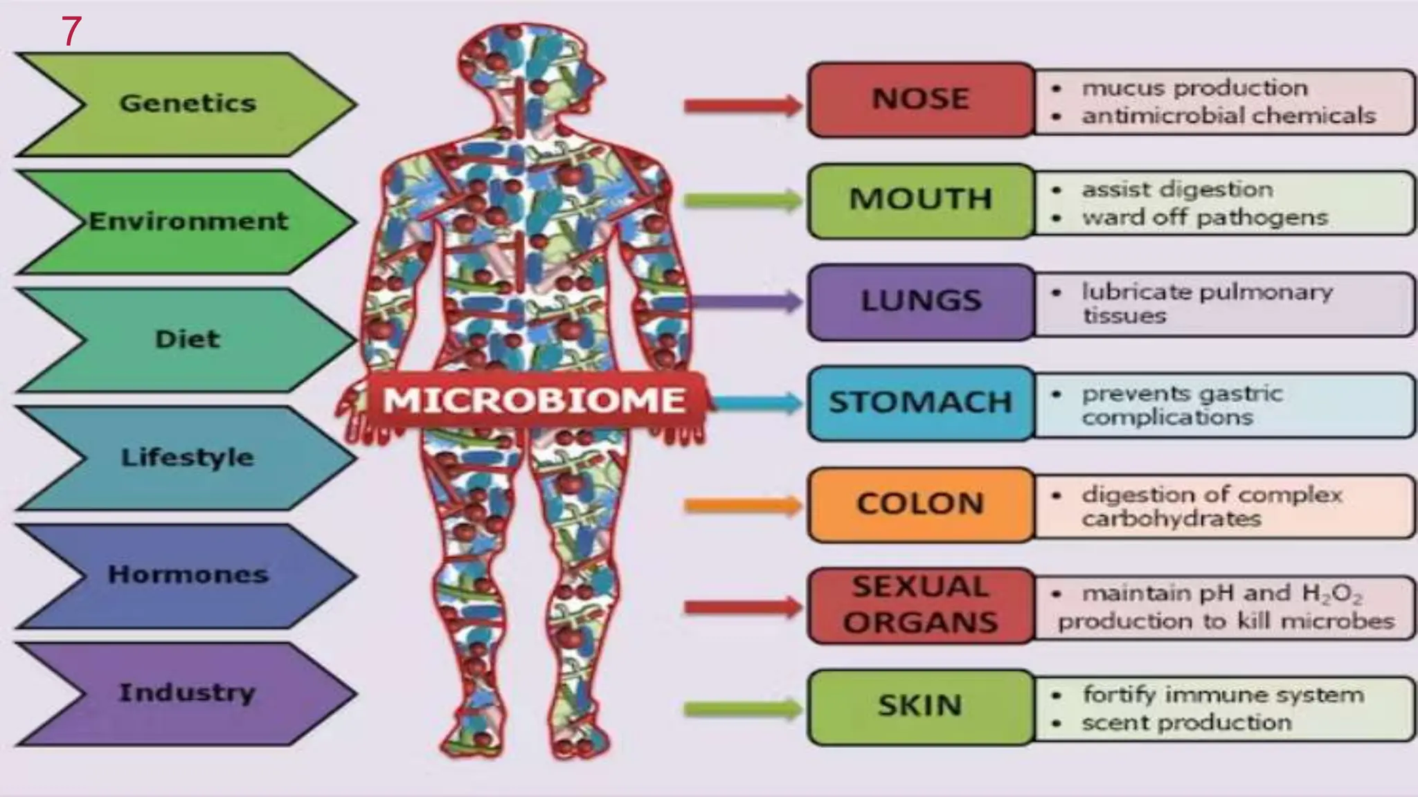 Microbiome in Food Microbiology and its explanation | PPTX
