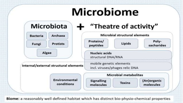 Microbiome in Food Microbiology and its explanation | PPT