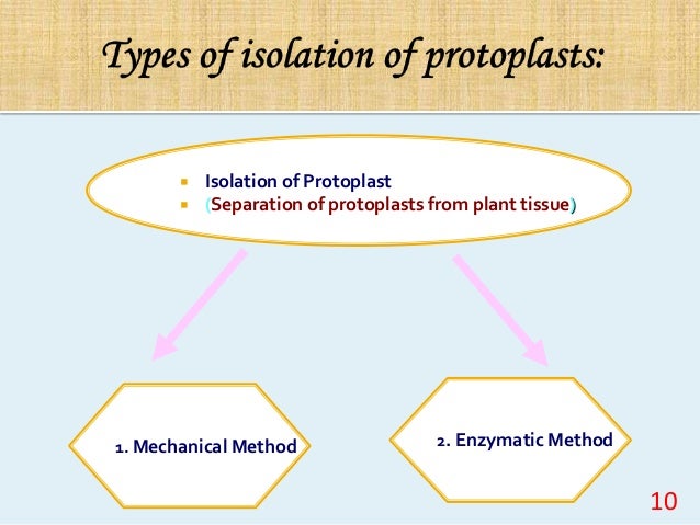 PROTOPLAST ISOLATION & CULTURING TECHNIQUES.