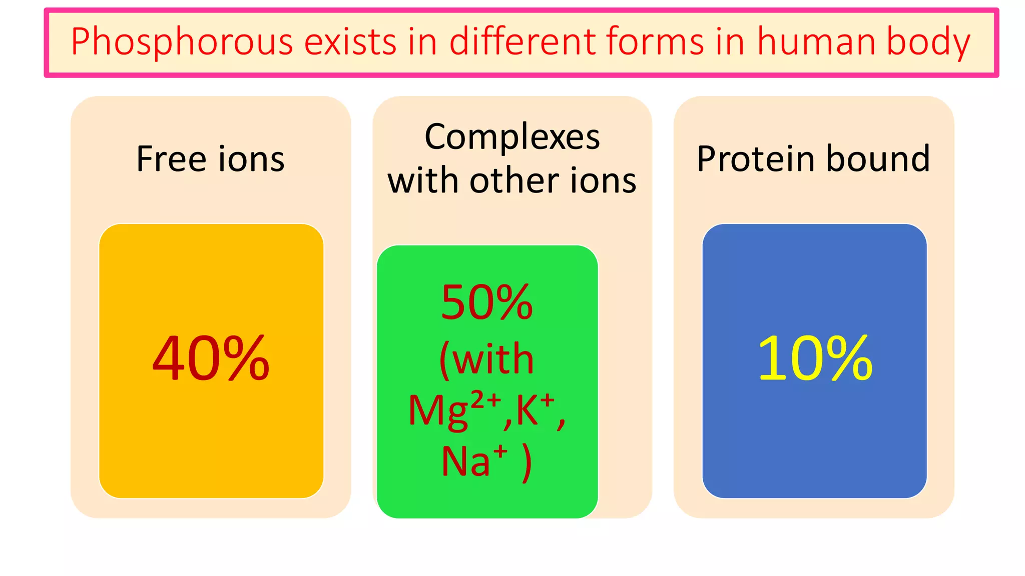 Phosphorous metabolism | PDF