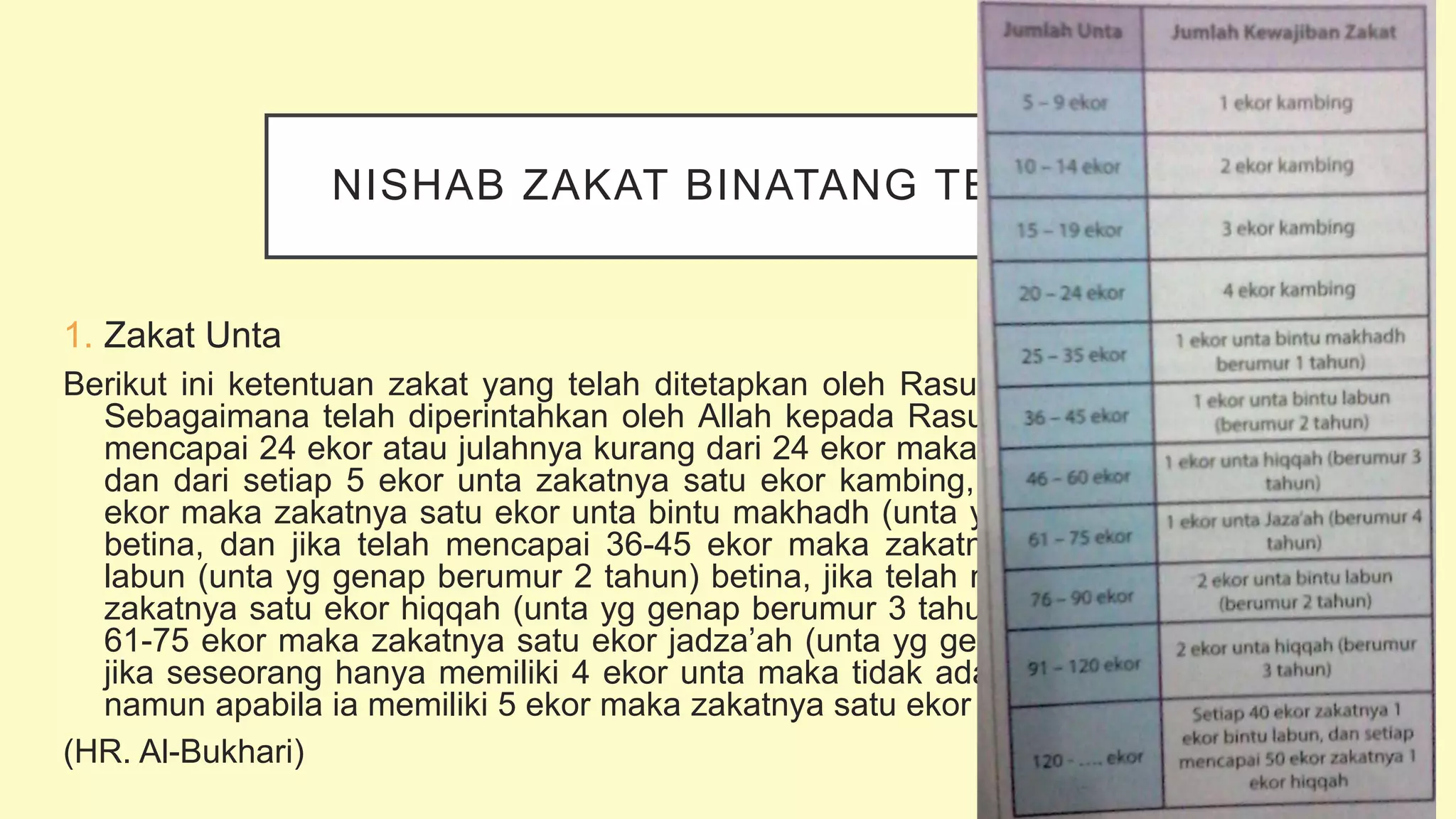 Zakat | PPTX