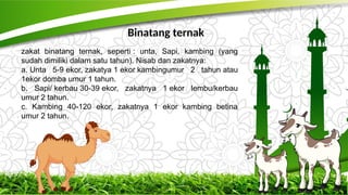 ZAKAT adalah salah satu rukun islam dari rukun islam yang lima | PPT