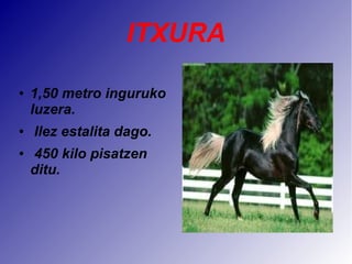 Zaldia | ODP