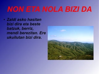 Zaldia | ODP
