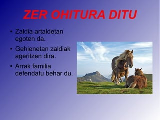 Zaldia | ODP