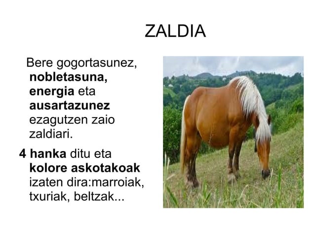 Zaldia.Adriana | ODP