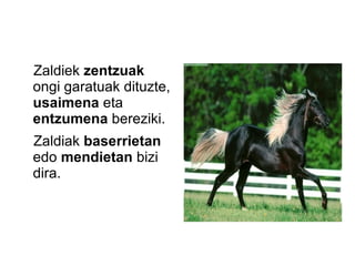 Zaldia.Adriana | ODP