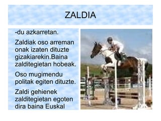 Zaldia deskripzioa | ODP