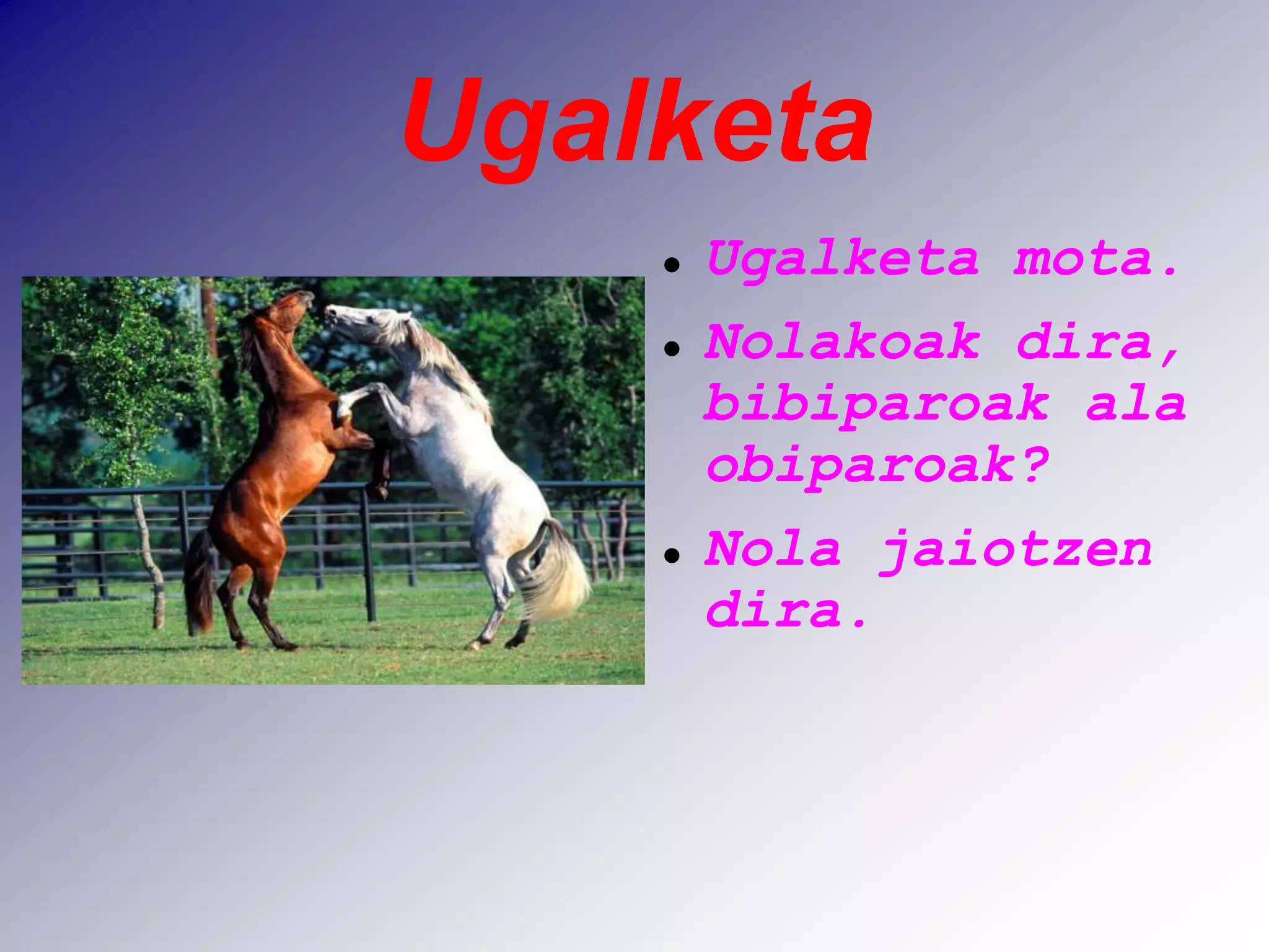 Zaldia / Irati eta Aitor | PPT